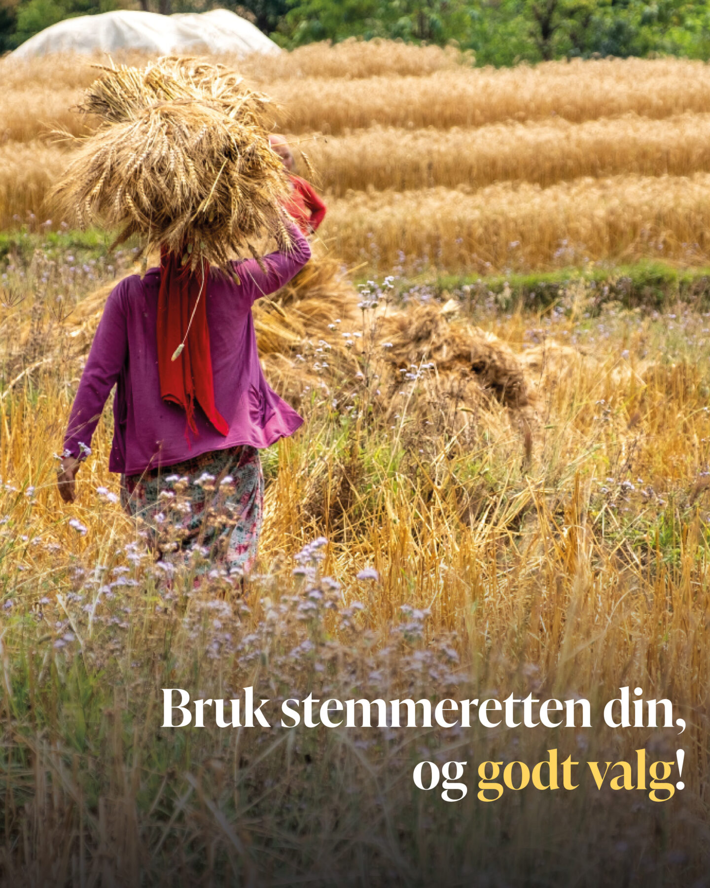 Utviklingsfondet | Hvilke partier satser på matsikkerhet, klima og…