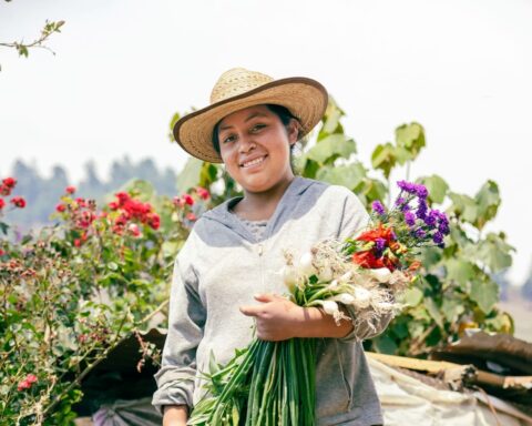 Utviklingsfondet | Hvilke partier satser på matsikkerhet, klima og…