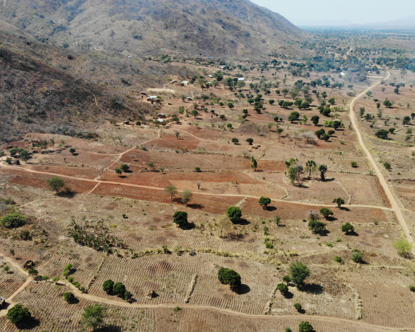 Utviklingsfondet | Hvilke partier satser på matsikkerhet, klima og…