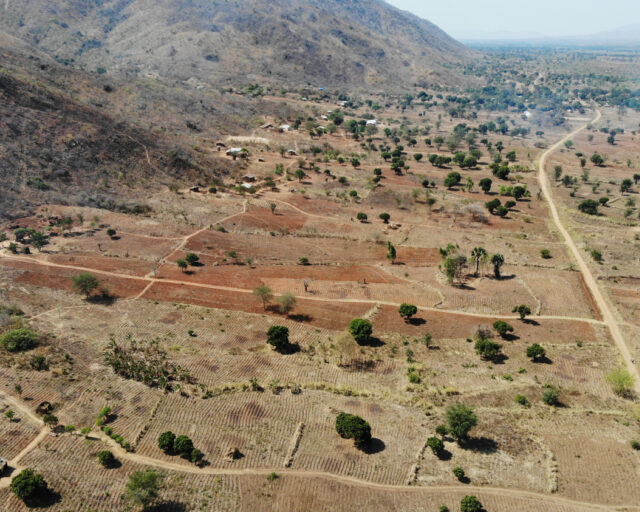 Utviklingsfondet | Hvilke partier satser på matsikkerhet, klima og…