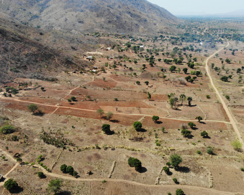 Utviklingsfondet | Hvilke partier satser på matsikkerhet, klima og…