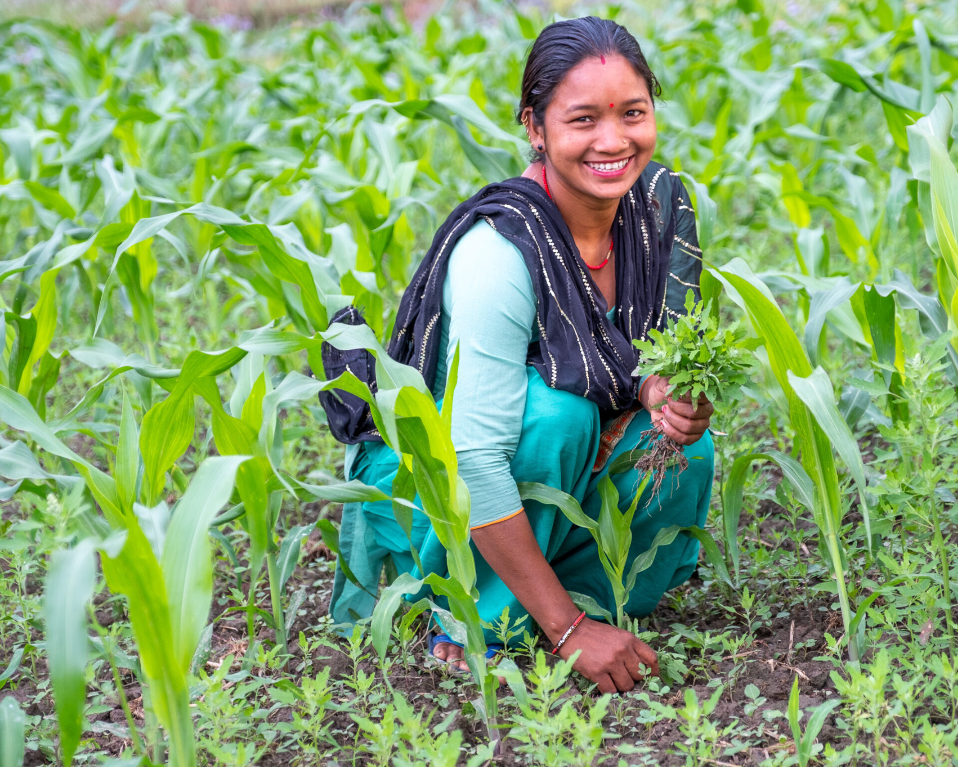 Utviklingsfondet | Hvilke partier satser på matsikkerhet, klima og…