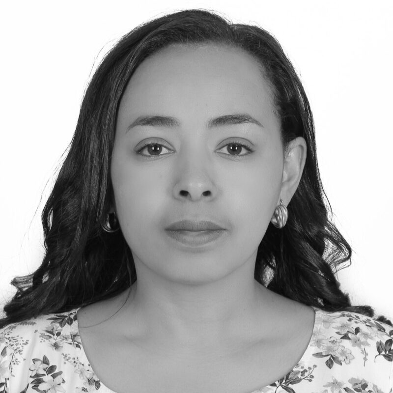 Utviklingsfondet | Ansatte