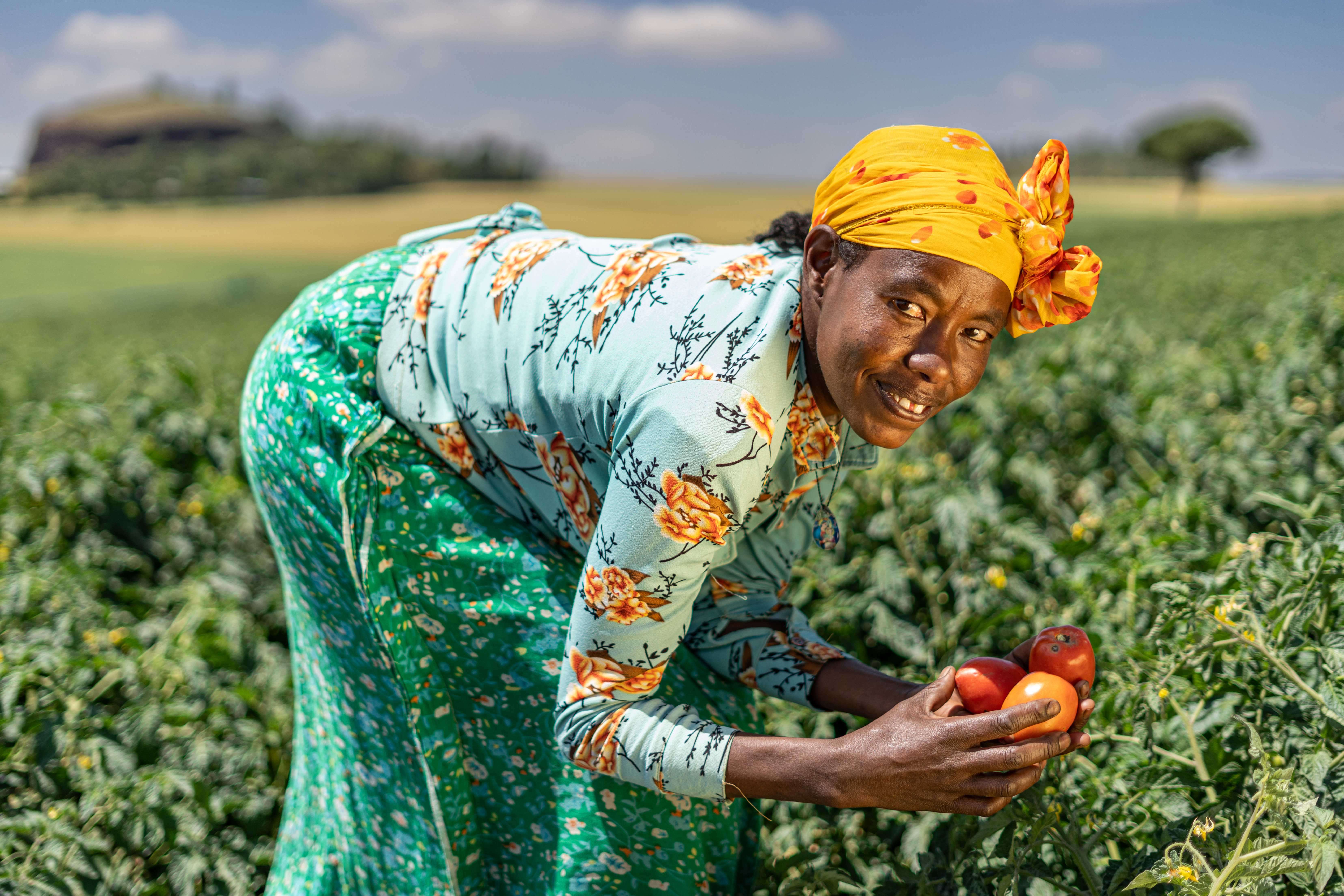 Utviklingsfondet | Matsikkerhet og ernæring