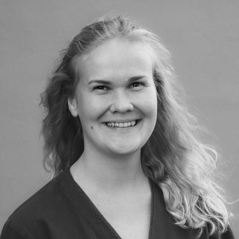 Utviklingsfondet | Ansatte